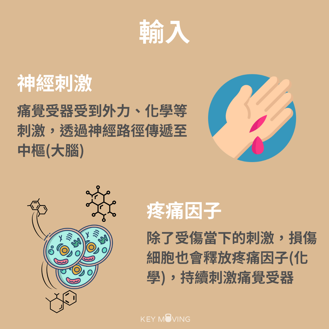 痛會直到你死那一刻，但你懂他嗎? - 還有夢想的物理治療師 (@bo_soul) | Dcard