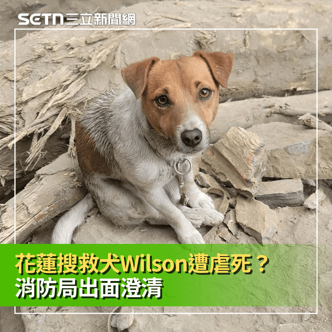 花蓮搜救犬「小鋼炮」Wilson遭虐死？消防局出面澄清：切勿以訛傳訛 - SETN三立新聞網 (@setn54) | Dcard