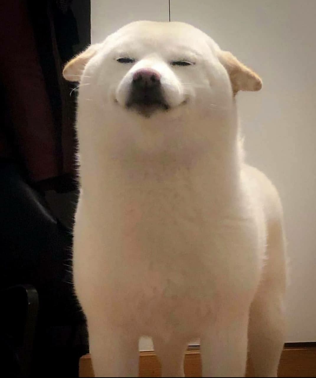 What’s in my room - B17 留言 | Dcard