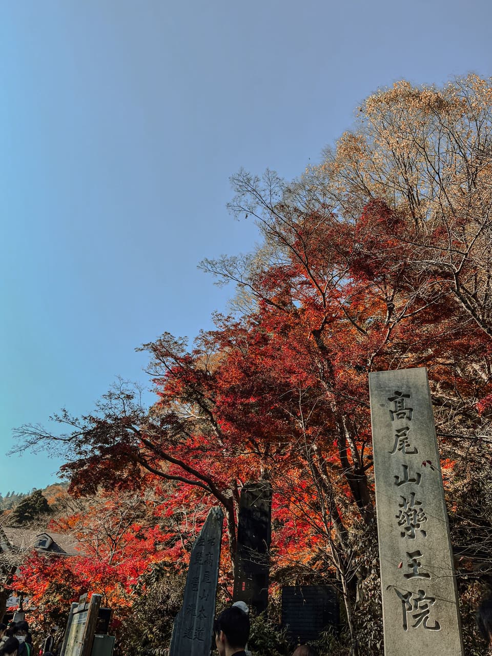 東京第二飛 11月7天自由行 D1-D3 高尾山/上野 楓葉季 - 日本旅遊板 | Dcard