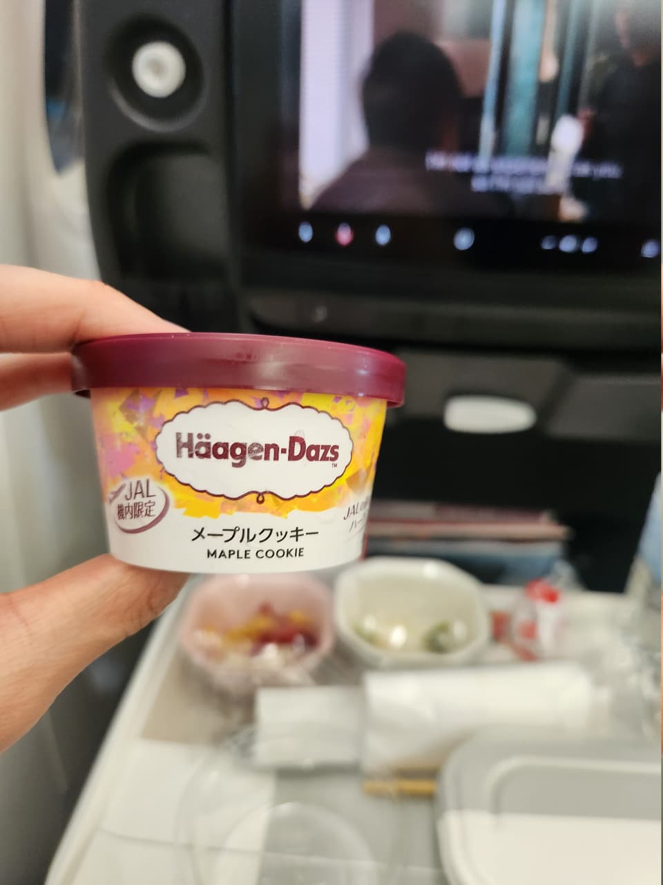 #飛行紀錄 日本航空 🇯🇵東京羽田HND-🇮🇳印度新德里DEL B789 經濟艙分享 - 航空板 | Dcard