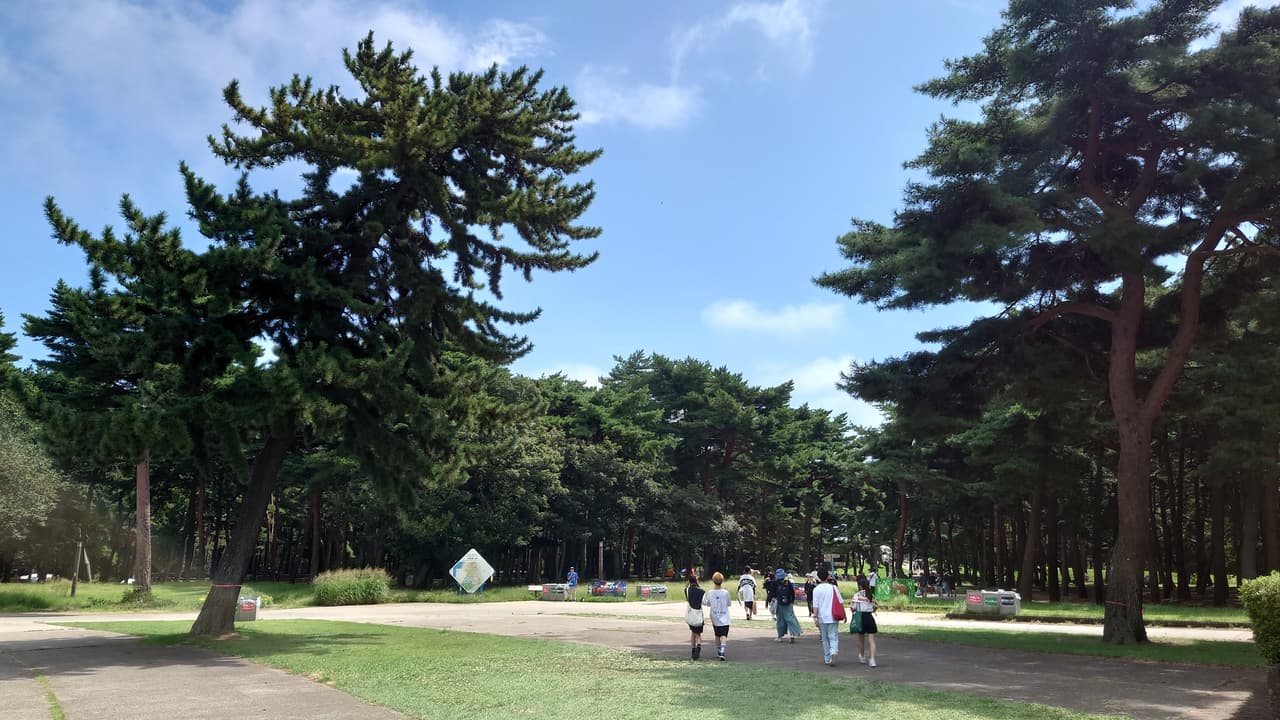 #分享 ROCK IN JAPAN FES 2024心得 - JPOP板 | Dcard