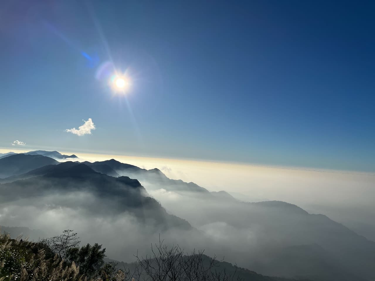 2024 來阿里山的二延平步道看夕陽雲海吧(^o^)/ - 小肥魚魚 (@smallfatfish) | Dcard
