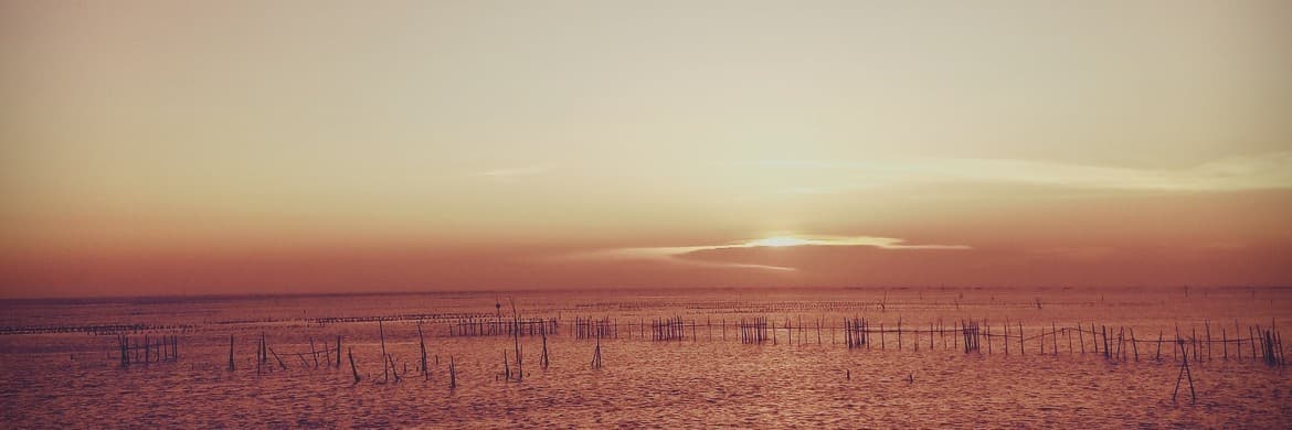 雪殞 (@darksnow) | Dcard