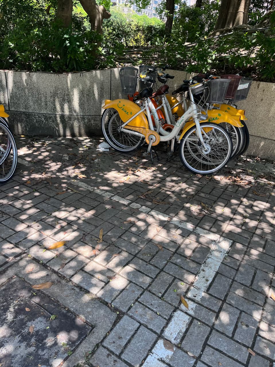 Ubike - 中興大學板 | Dcard