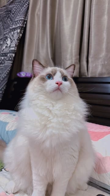 Chen (@oo_1128) | Dcard