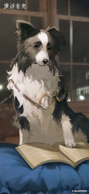 大家都該看看這隻可愛的狗狗！ - 重返未來：1999板 | Dcard