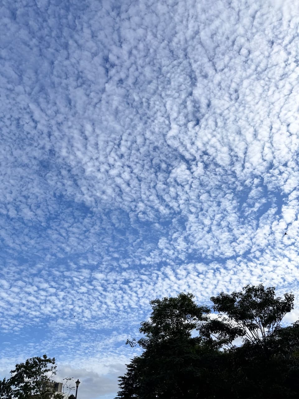 療癒的事物 - 一丟丟高的170 (@hua1017) | Dcard