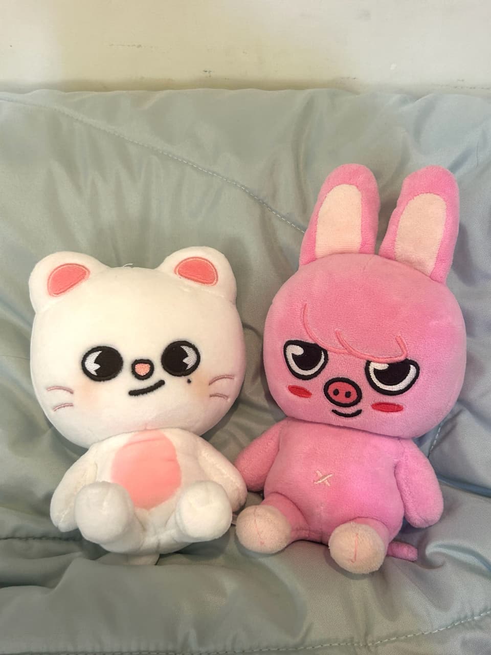 #分享 #分享 Skzoo 大娃裝骨&娃衣試穿 內含貂娃縮脖心得 - Stray Kids板 | Dcard