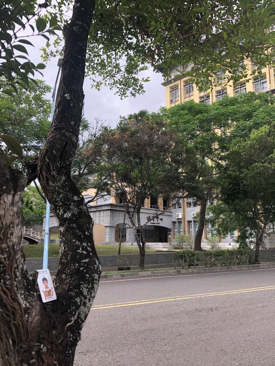 同學泥的學生證掉惹！ 嘉義大學板 Dcard