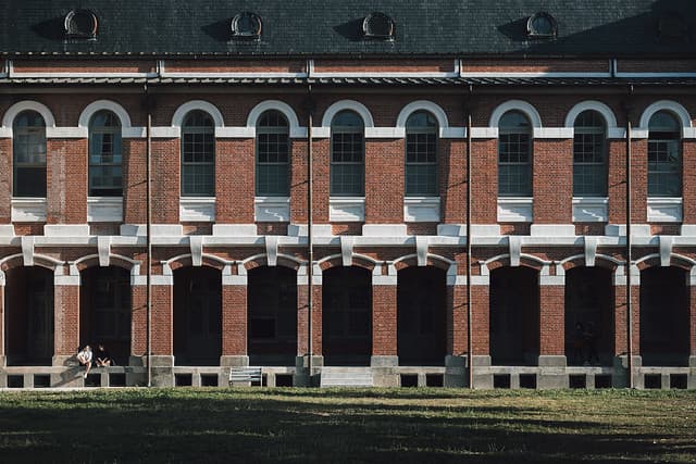 #閒聊 重溫經典 － Nikon Zf 週年用後心得 - 攝影板 | Dcard