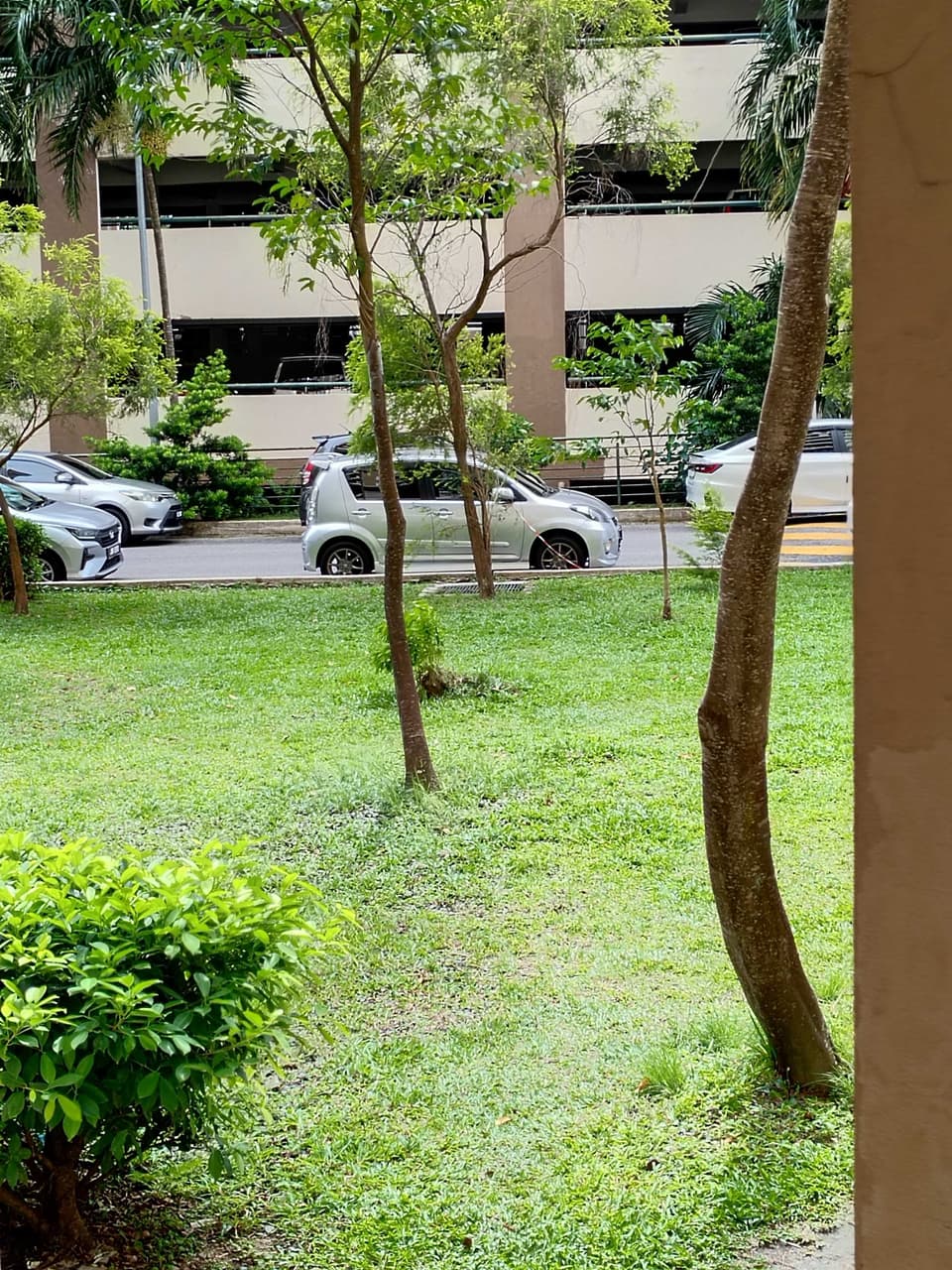 ixora block d - MMU板 | Dcard