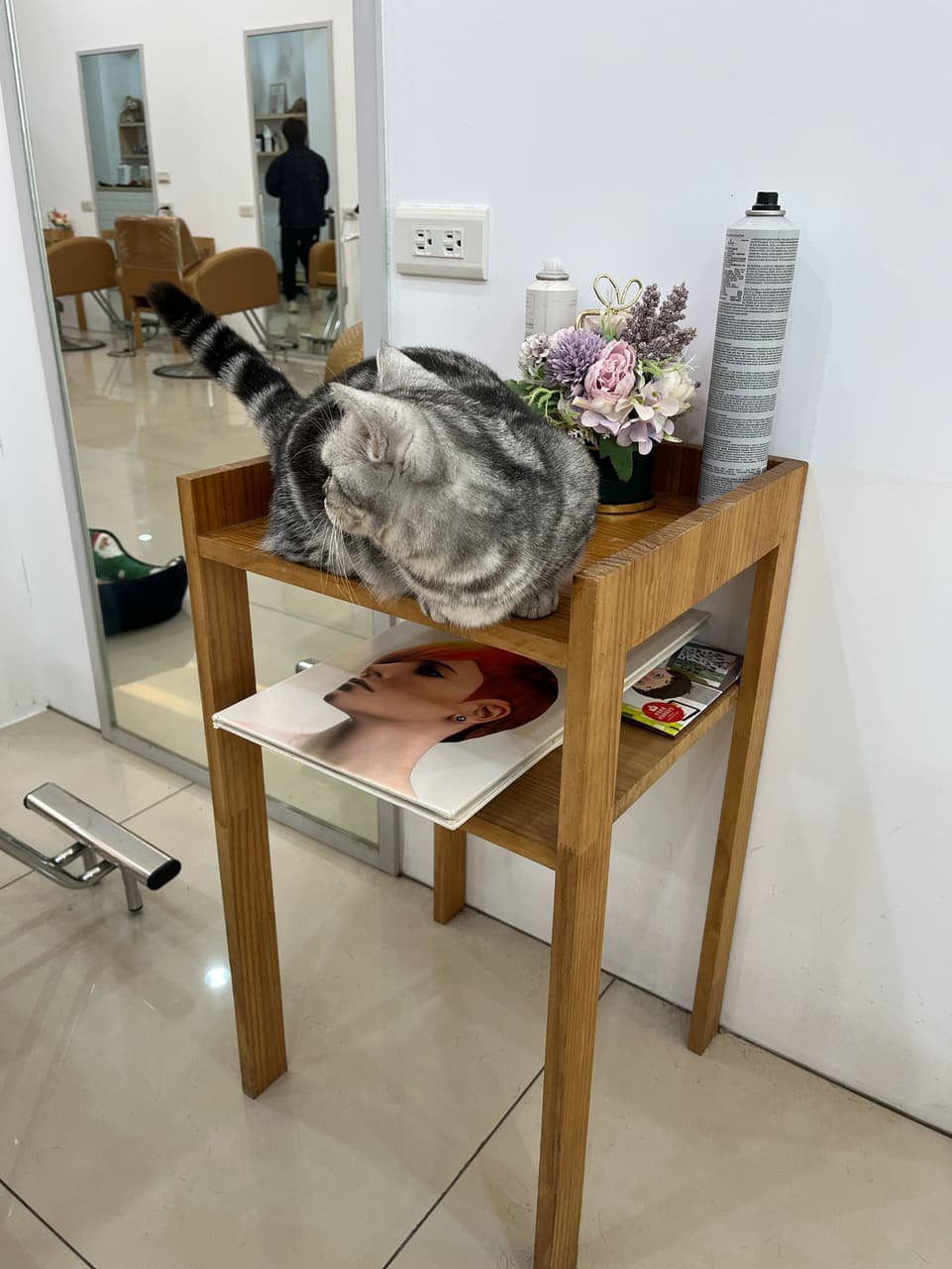 這裡有貓😎 - 🙋🏻‍♀️ Ella Daily (@ella12345asd) | Dcard