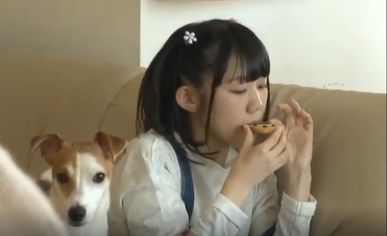 可愛的狗狗 - 有趣板 | Dcard