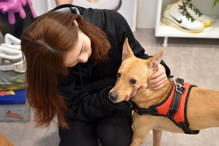 《最好的一天》辰清潔創業日誌 ep.20-2 奇妙的相遇 - 李羊 (@leeec) | Dcard