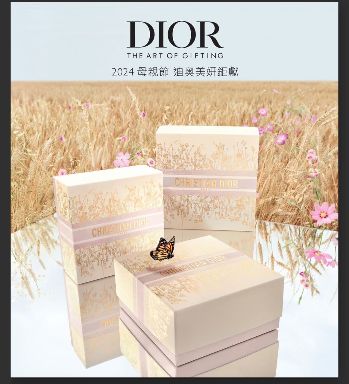 #討論 2024年百貨母親節檔期dm（文末更新） - B86 留言 | Dcard