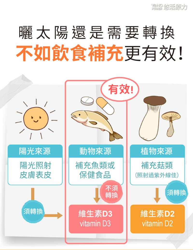 悠活原力｜陽光維生素D3(120顆/瓶) - 美食板 | Dcard