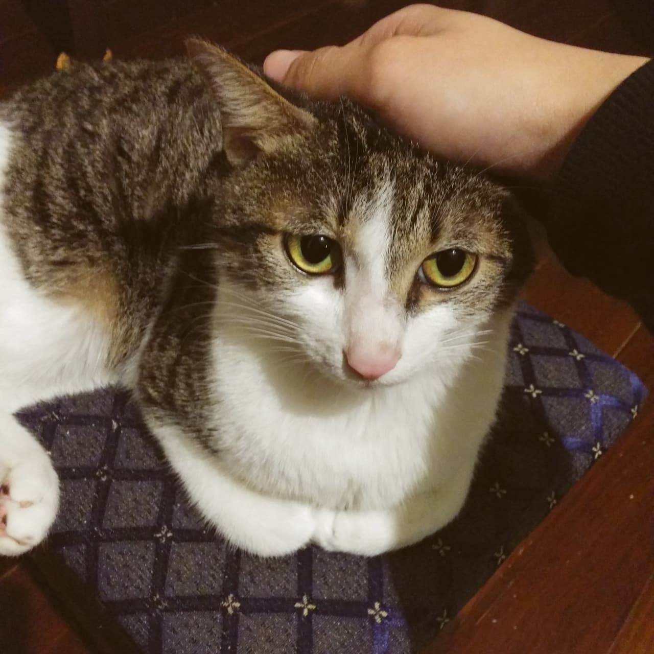 (les)跟姐姐牽手Part4. - 女孩板 | Dcard