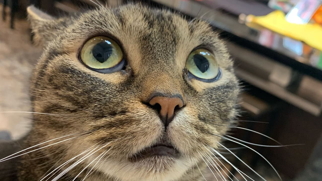 Ming (@tm0011) | Dcard