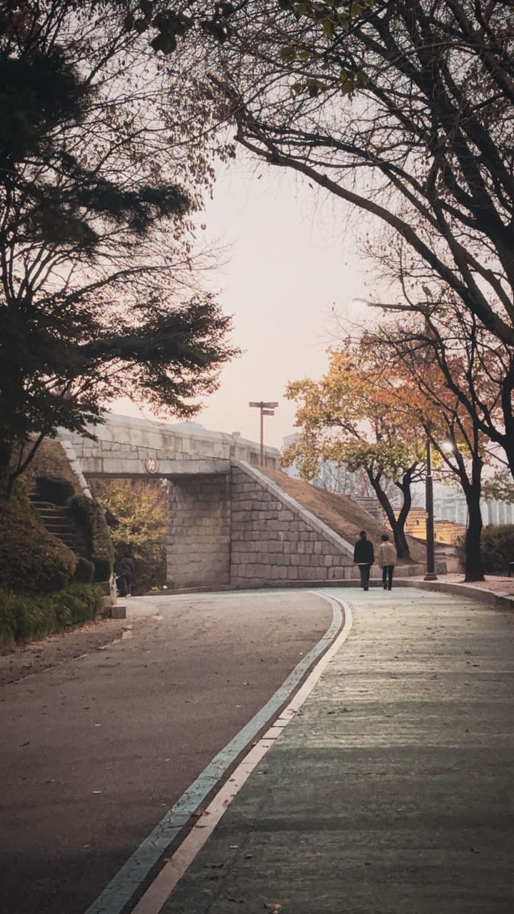 #分享 韓國賞楓之旅 D4 - 韓國旅遊板 | Dcard