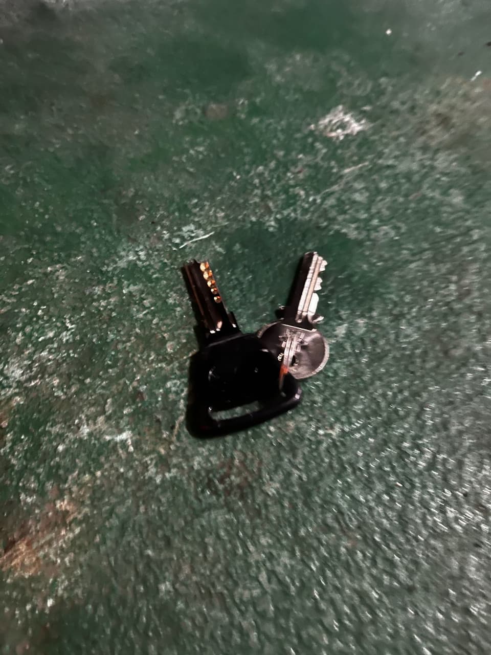 誰的寶貴要屎掉了 東南科大板 Dcard