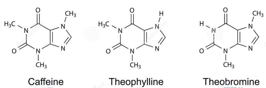 經痛止痛藥 - 吳孟翰 藥師 (@wmh_ph) | Dcard