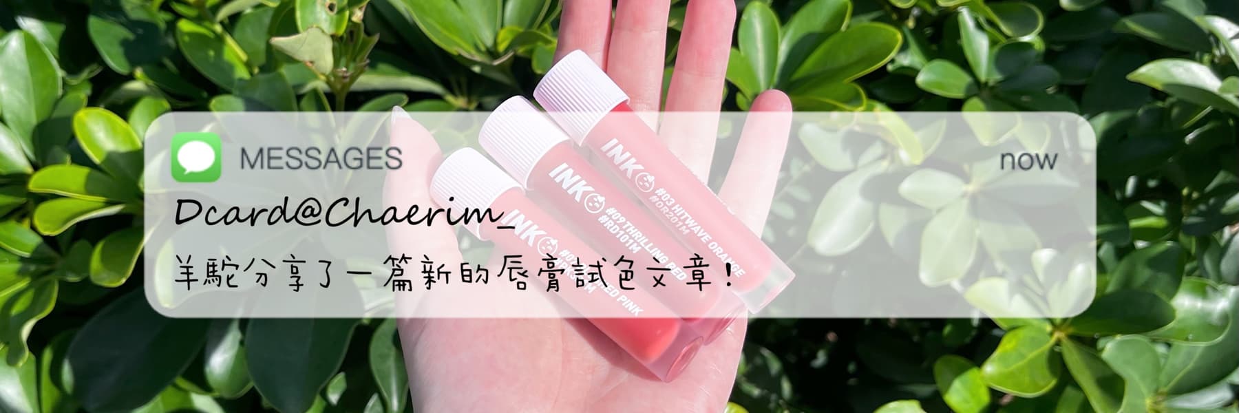 羊駝ㅎㅅㅎ (@chaerim_) 的公開頁面 | Dcard