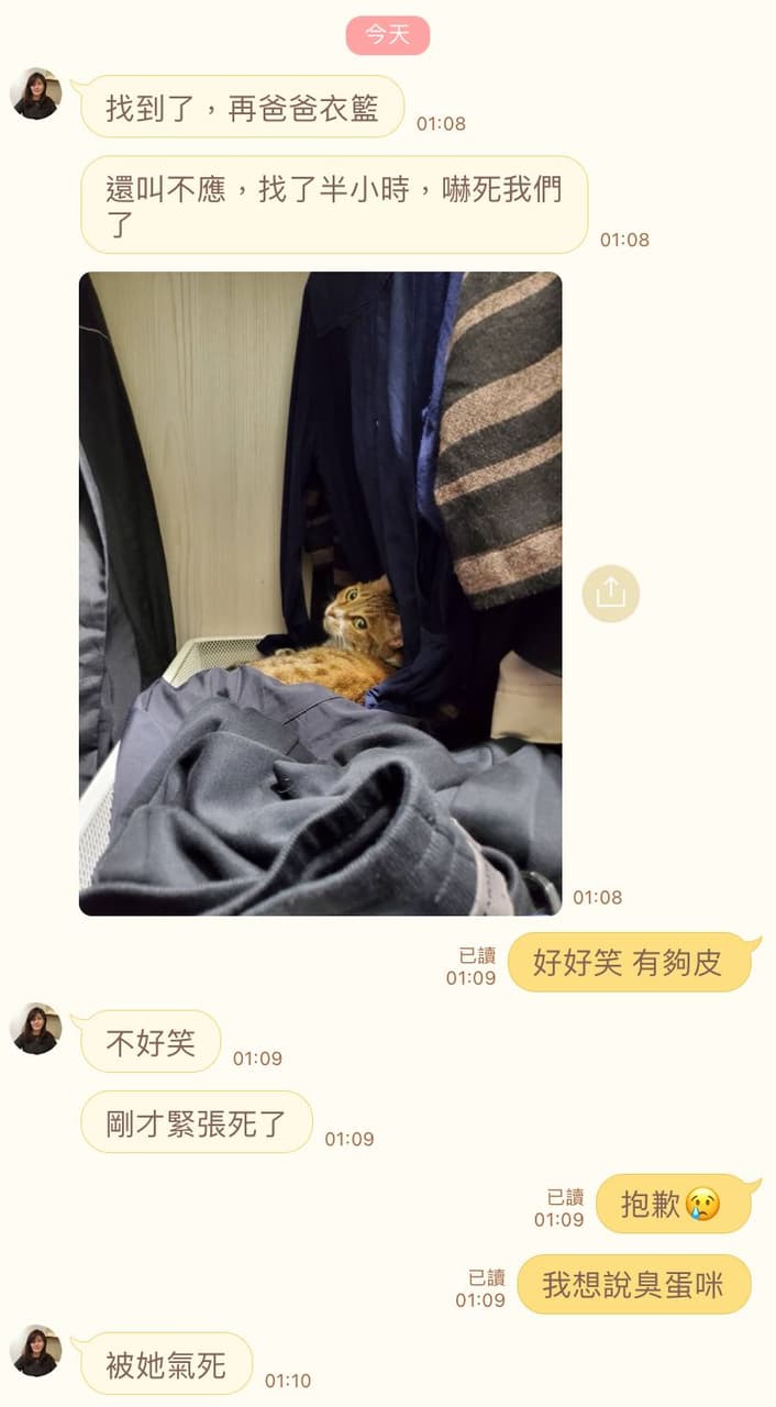 愛鑽衣櫃臭貓 - 寵物板 | Dcard