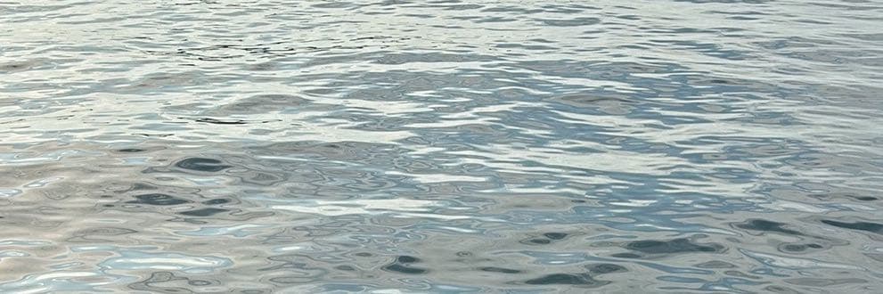 與海有關 (@oceano) | Dcard