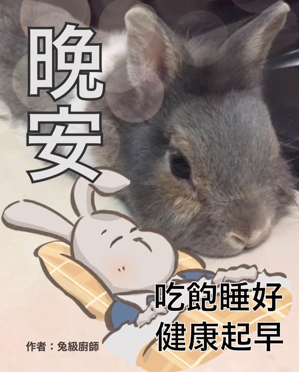 長輩們的關心 - 兔級廚師 (@wusagi) | Dcard