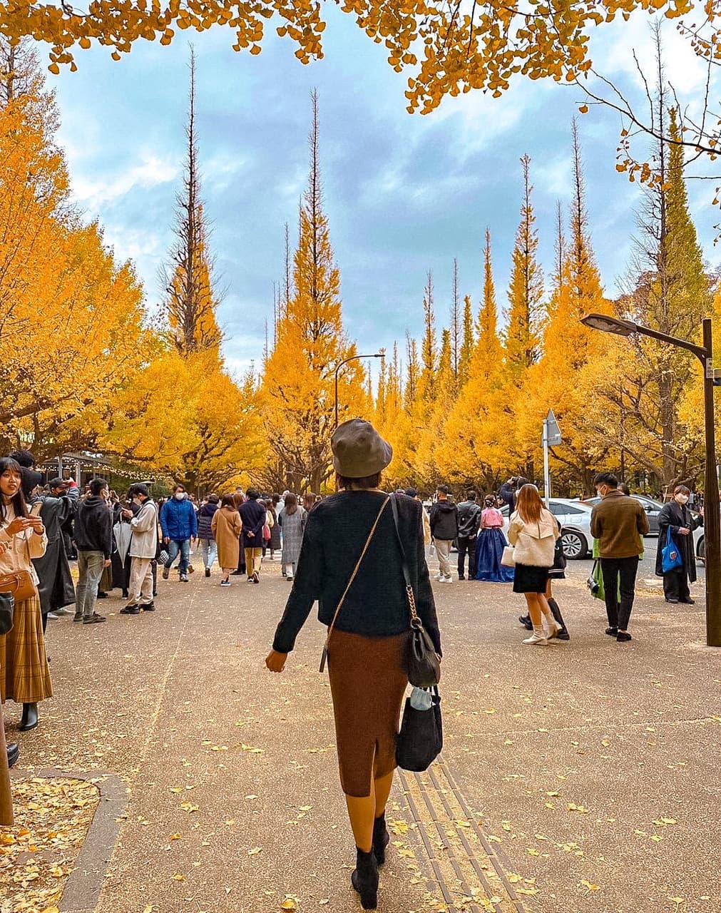 東京11月7天自由行 D4-D6 銀杏/惠比壽聖誕燈 - 日本旅遊板 | Dcard