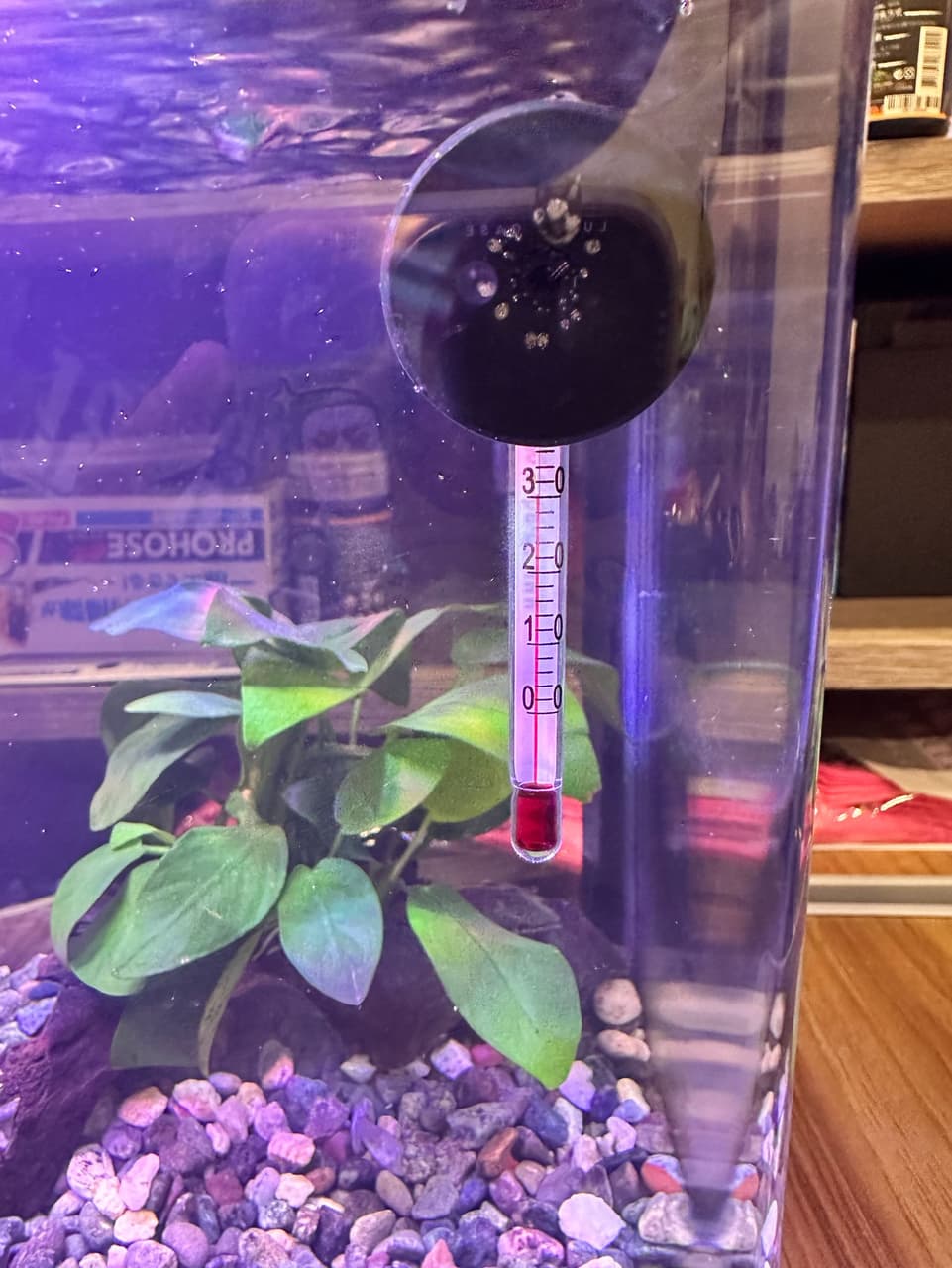 #請益 請益jad ms-220 - 水族板 | Dcard