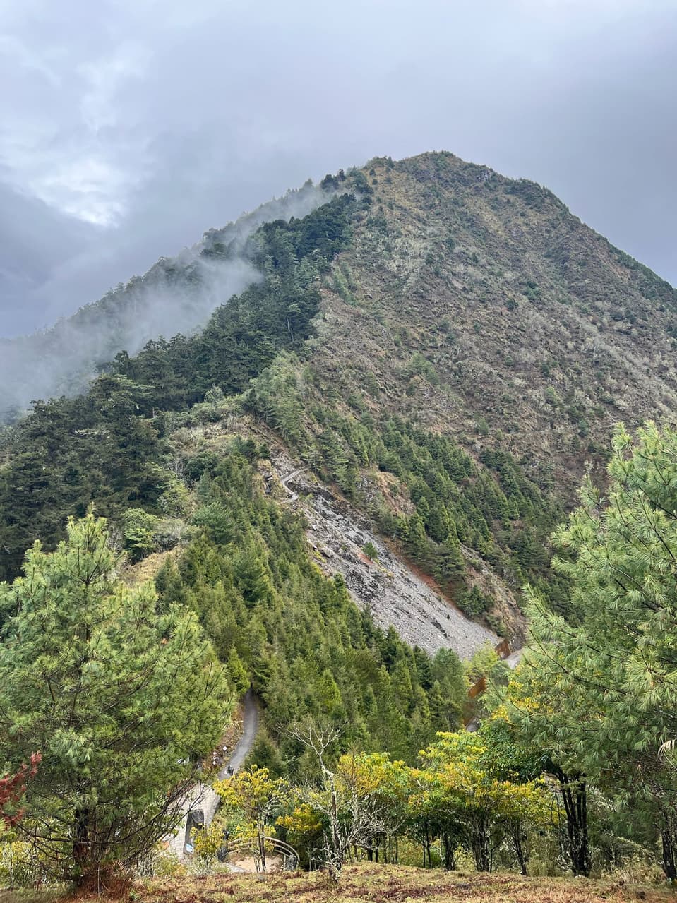 冬天爬山時不能穿的外套(｡･ω･｡)ﾉ - 小肥魚魚 (@smallfatfish) | Dcard