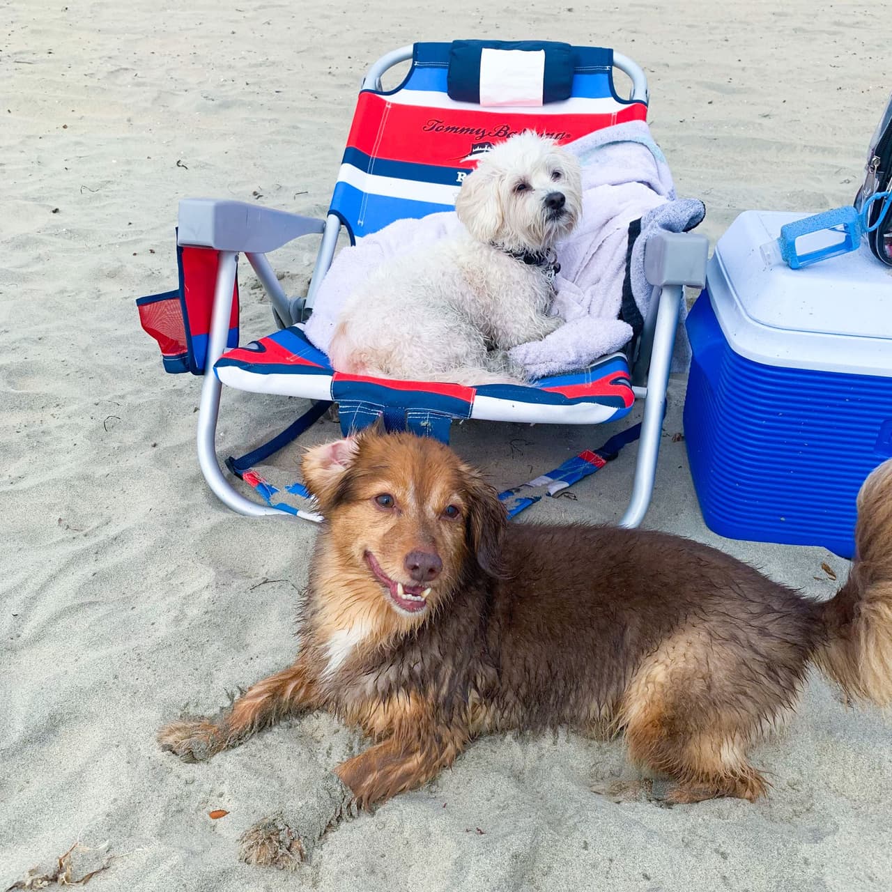 🖤過去一年的流水帳👻 - 張鬼斯 (@ghostootd) | Dcard