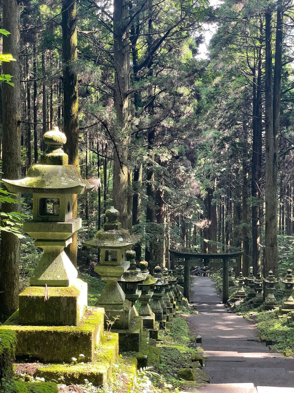 #國外 九州自駕遊Day5 - 旅遊板 | Dcard