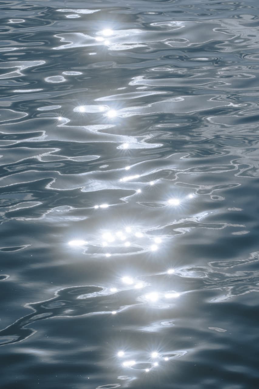 送給一樣懷疑人生、想要找尋意義的你 - 魚山 (@fishmount) | Dcard