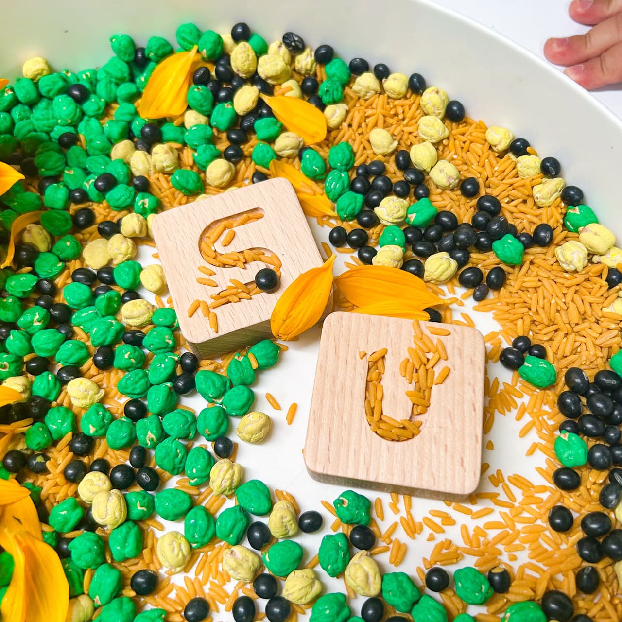 //繪本分享//親愛的梵谷先生-延伸向日葵感官活動 - 泡波媽沈浸式育兒 (@bubblepan) | Dcard