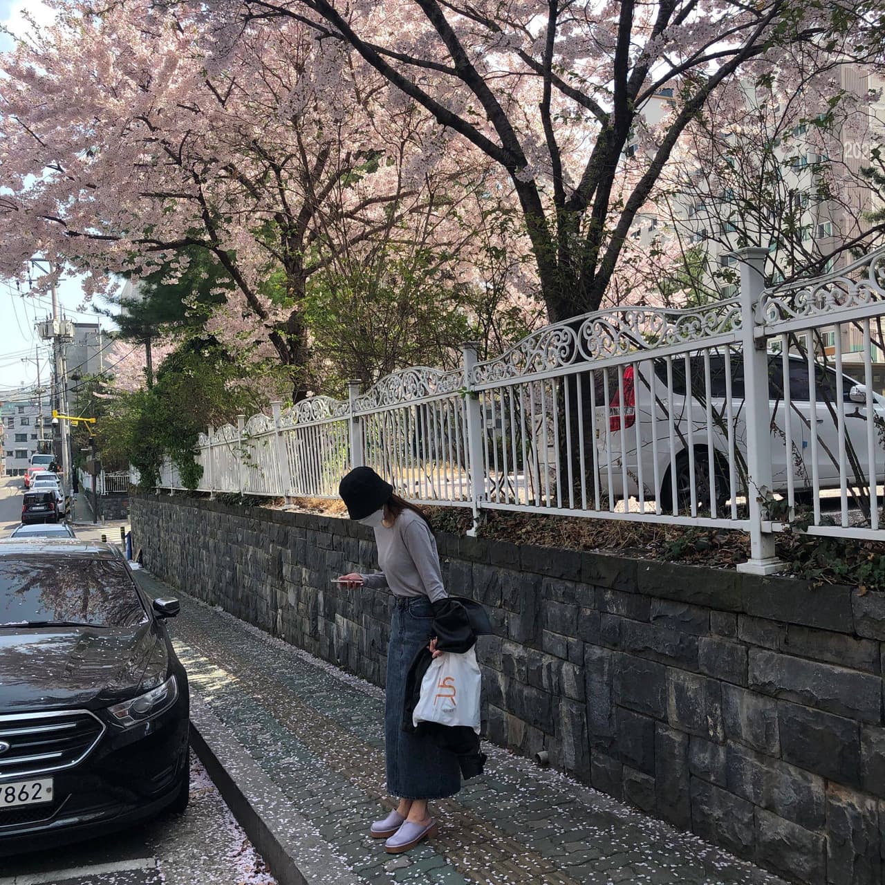 ฺ ஐ:*:･ ฺ ஐ*:･ ฺ4月櫻花散步🌸 - gayo가요 (@sdyyy_k) | Dcard