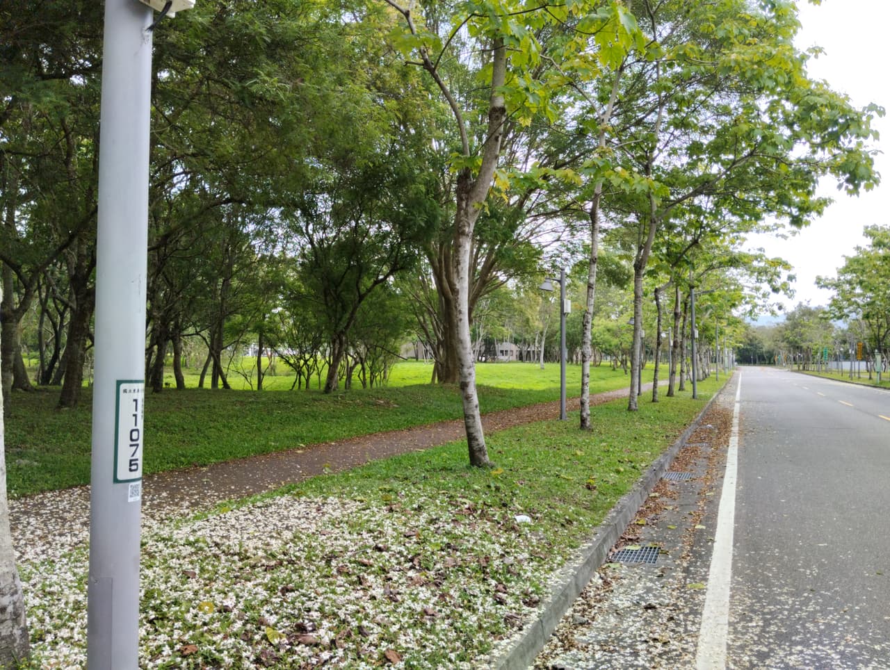 誰鑰匙掉了 東華大學板 Dcard
