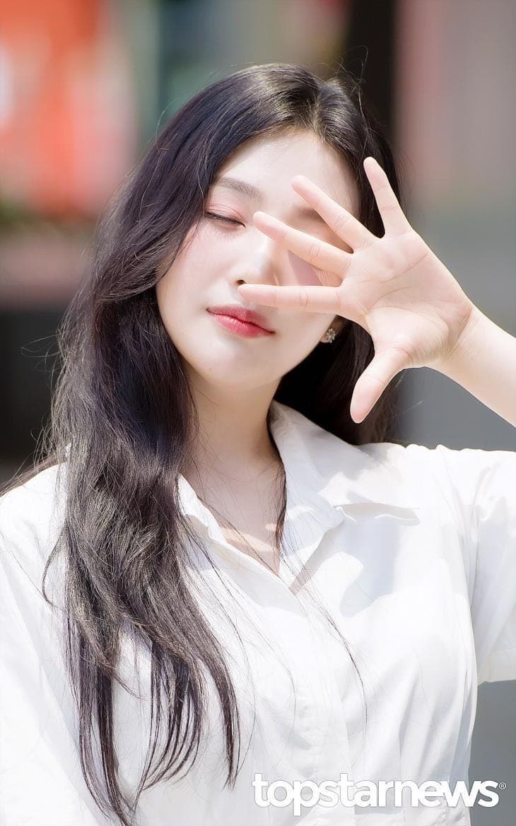 #分享 《TV 動物農場》上班路上的Joy - 追星板 | Dcard