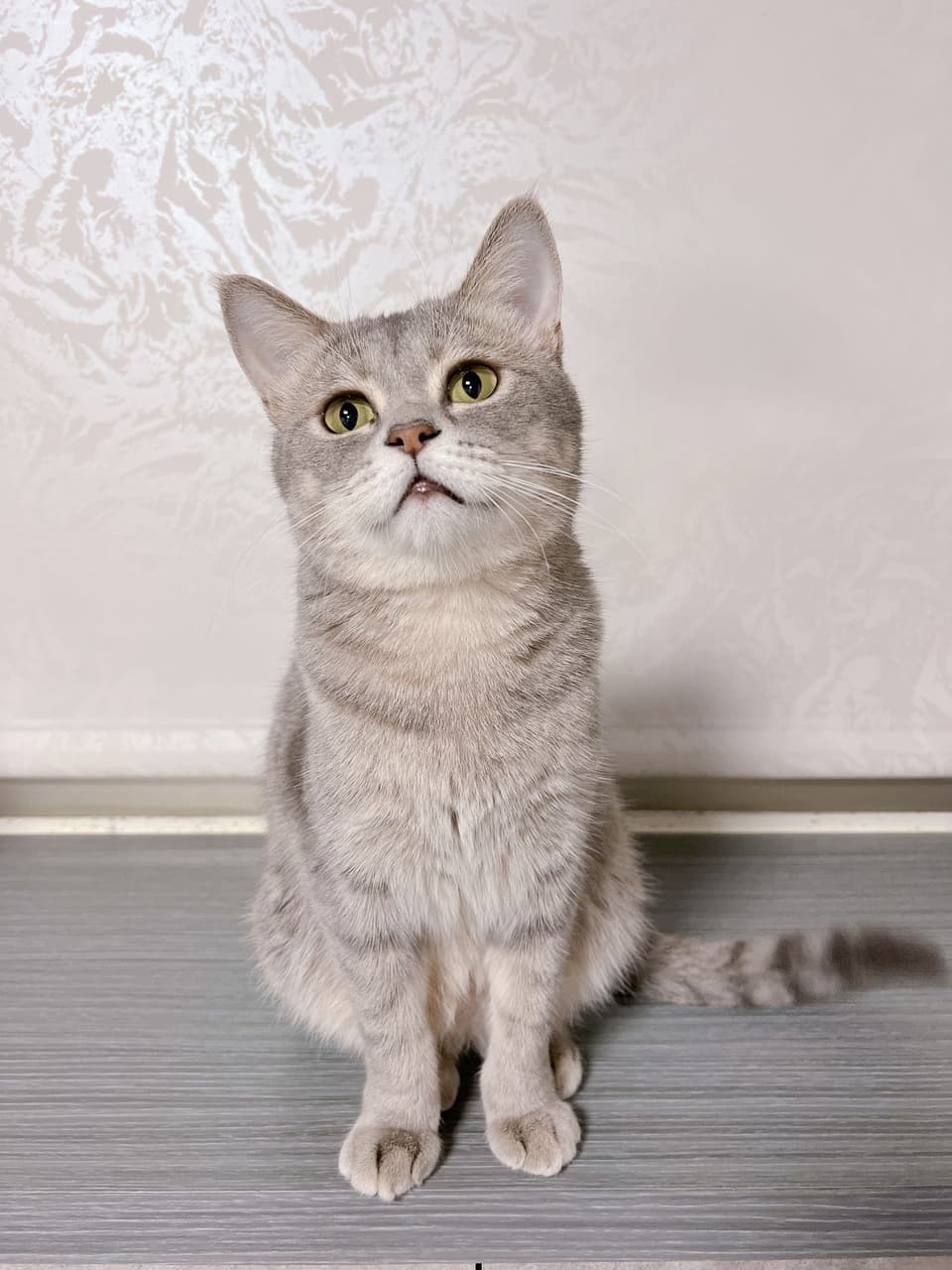 胖了一圈 衣服炸開 - 搗灰的娘親 (@mm951113) | Dcard