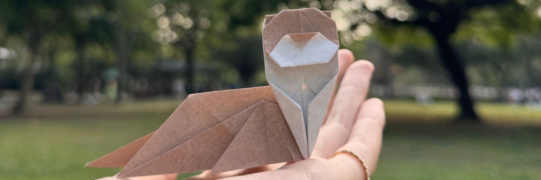 | ᐕ)⁾⁾奇異狗勾 (@kiwiii_717) | Dcard