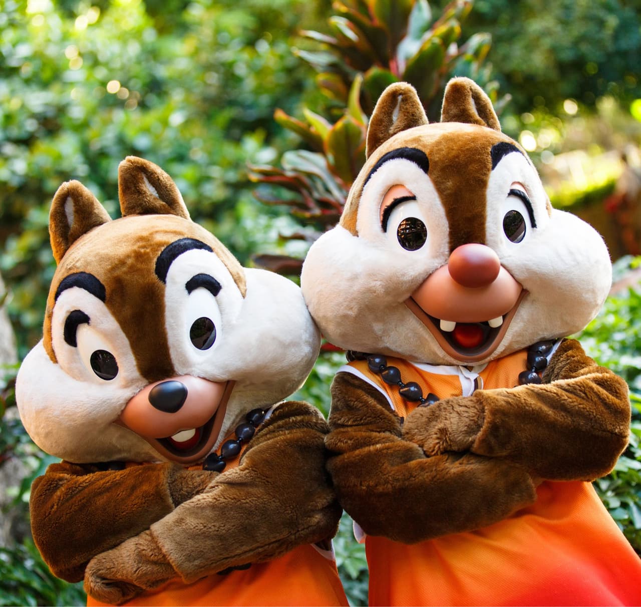 奇奇蒂蒂生日快樂🎉 - 奇奇蒂蒂博士 (@klin0514) | Dcard