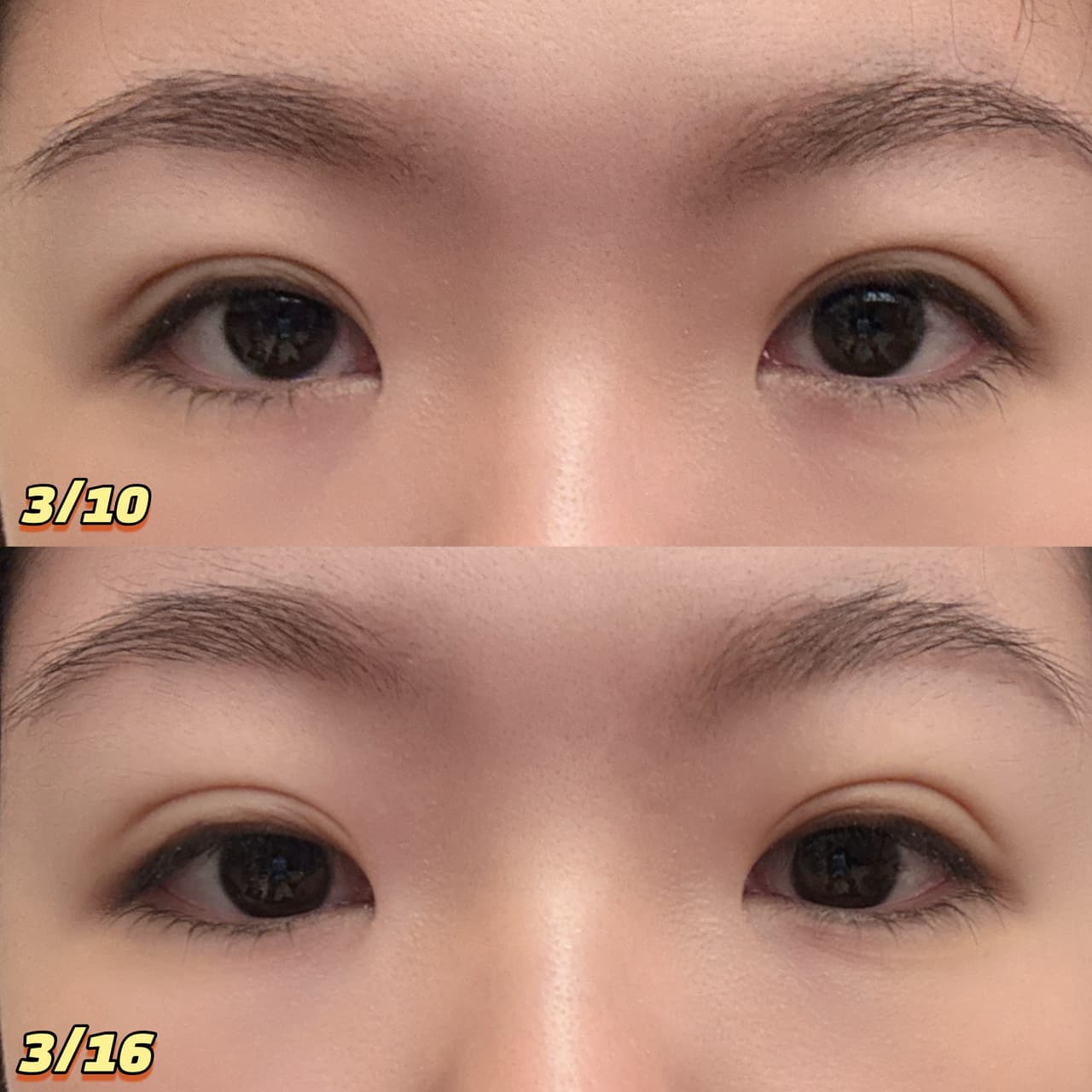 熬夜救星｜紫熨斗PRO黑眼圈bye - 芝芝｜購物芝旅 (@hannee) | Dcard