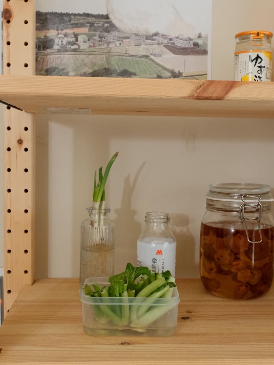 我不知道種個菜這麼可怕 - 小行 (@asteroid_102) | Dcard