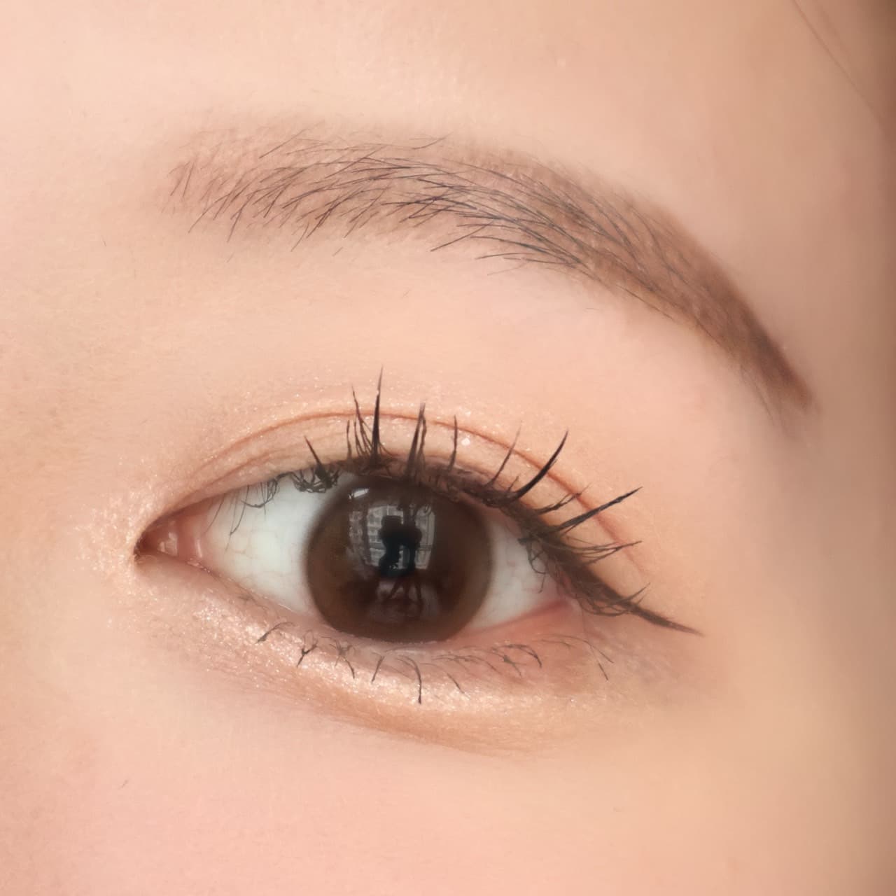 3/16松菸 Dcard年會 我是攤主啊哈🫡 - 我是傑利(¯︶¯) (@wuopfj) | Dcard