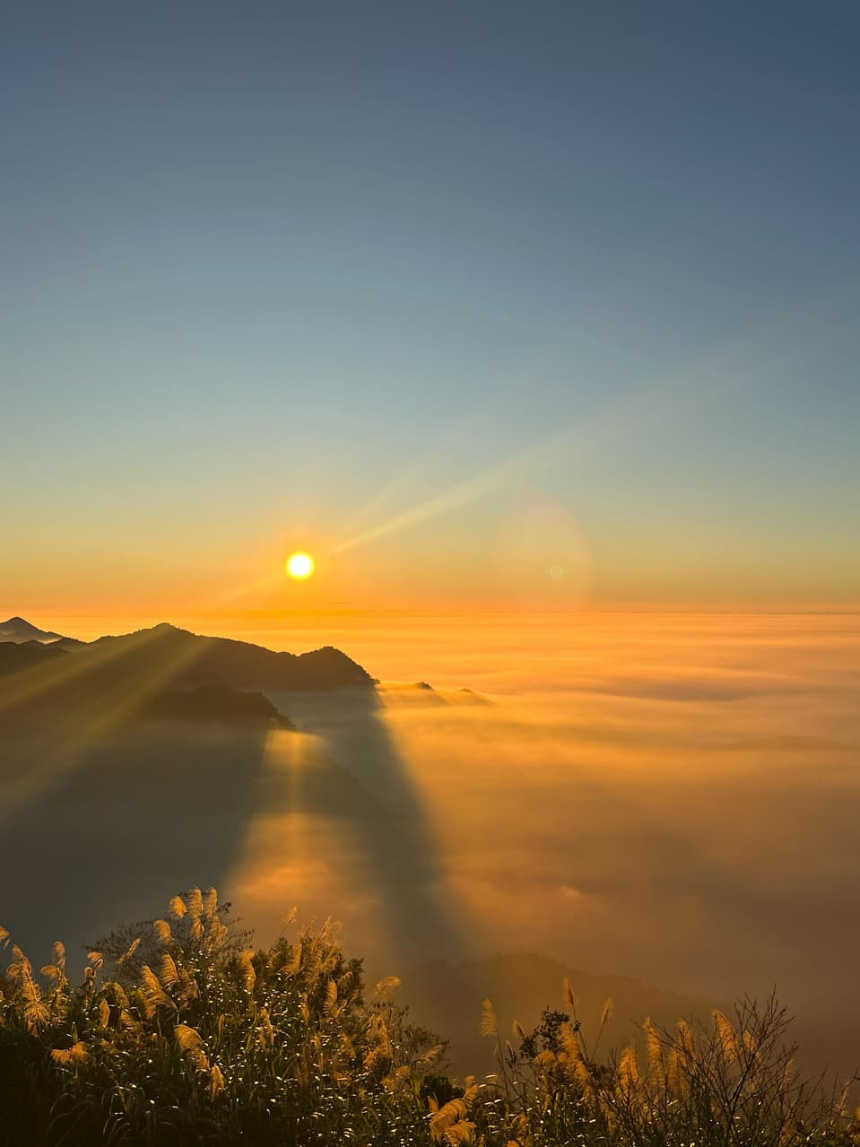 2024 來阿里山的二延平步道看夕陽雲海吧(^o^)/ - 小肥魚魚 (@smallfatfish) | Dcard