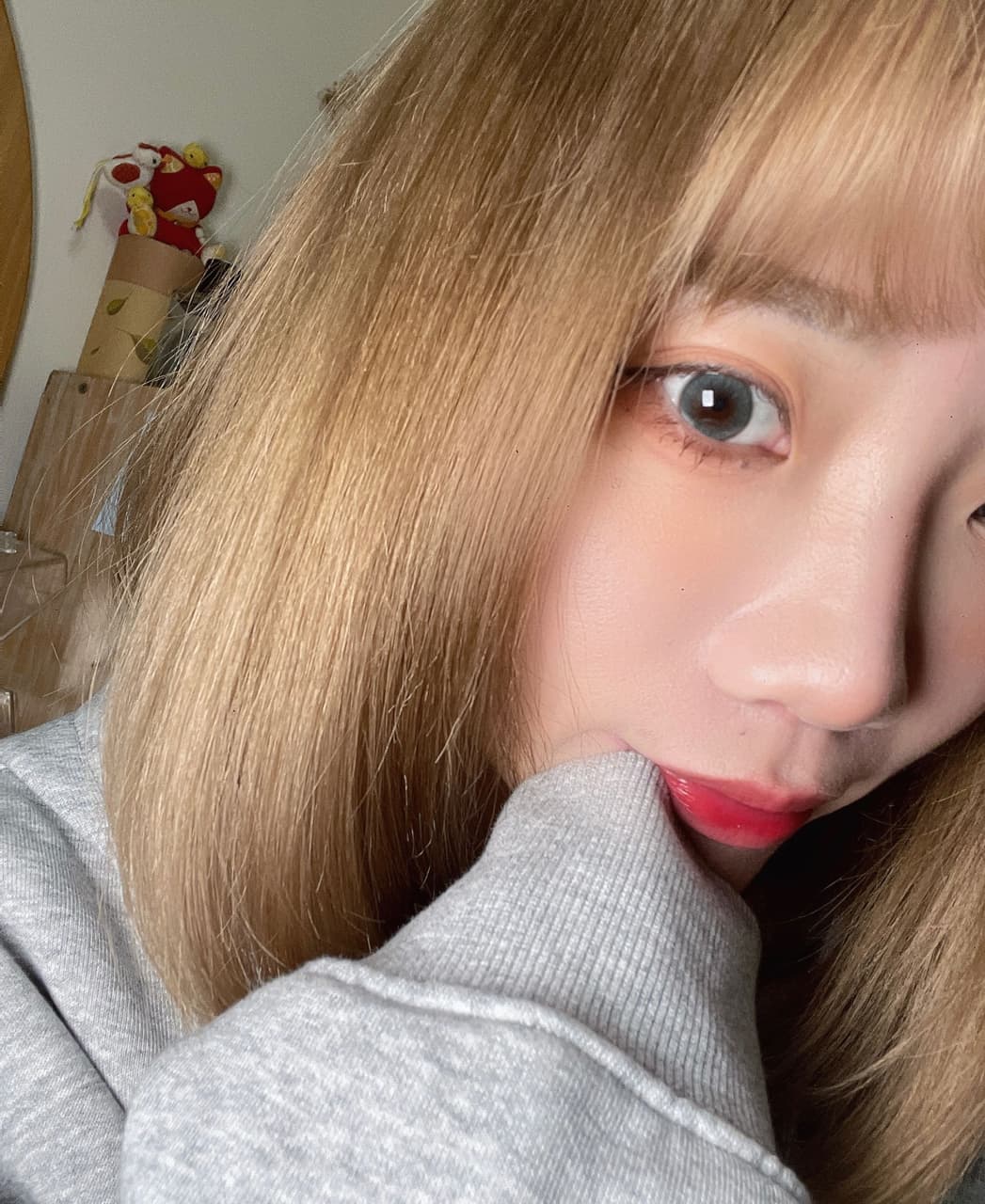 #分享 vlens榛果系列 - 隱形眼鏡板 | Dcard