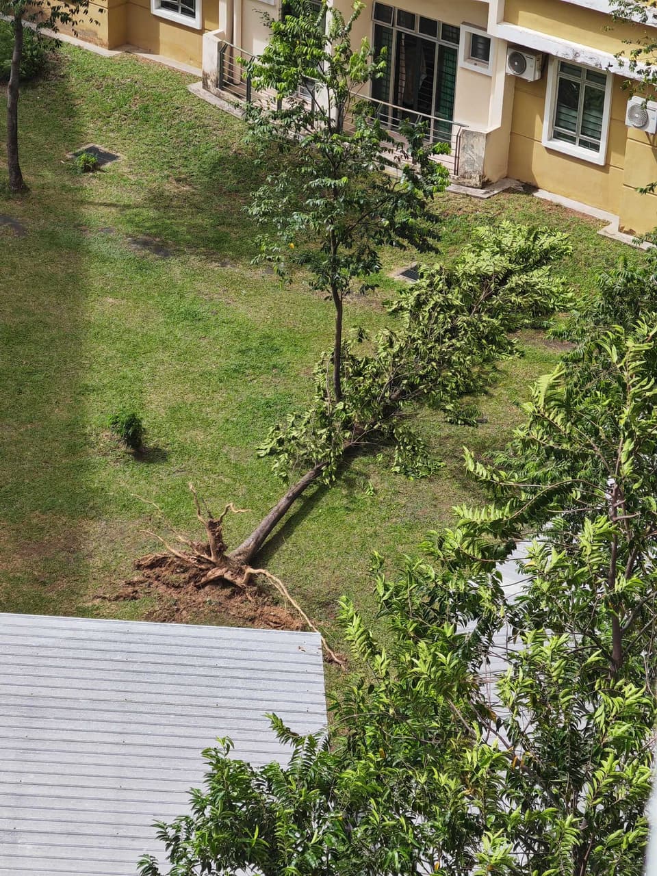 大風 - MMU板 | Dcard