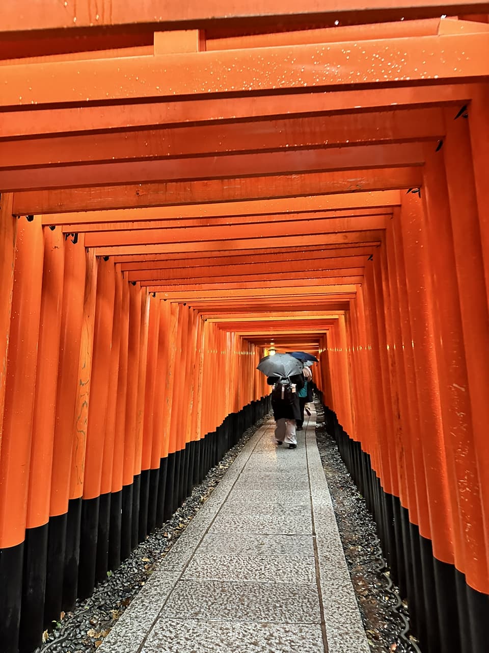 日本八天七夜自由行紀錄📔 DAY7 錦市場、伏見稻荷神社 DAY8 回家嚕～ - 日本旅遊板 | Dcard